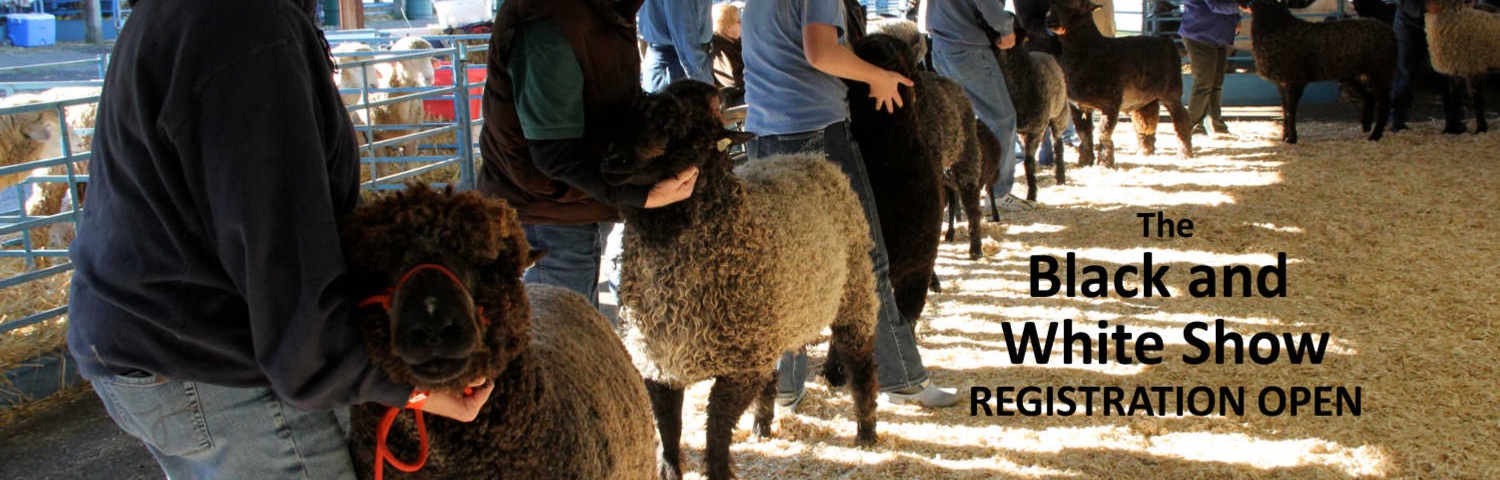 Home - Sheep and Wool Festival