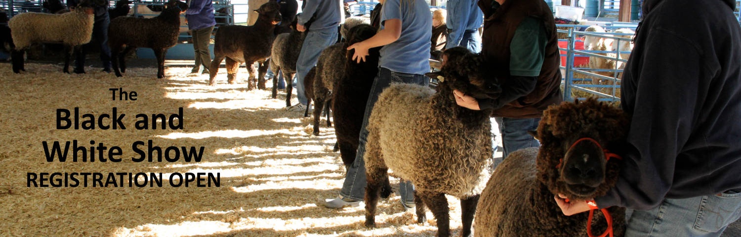 Home - Sheep and Wool Festival